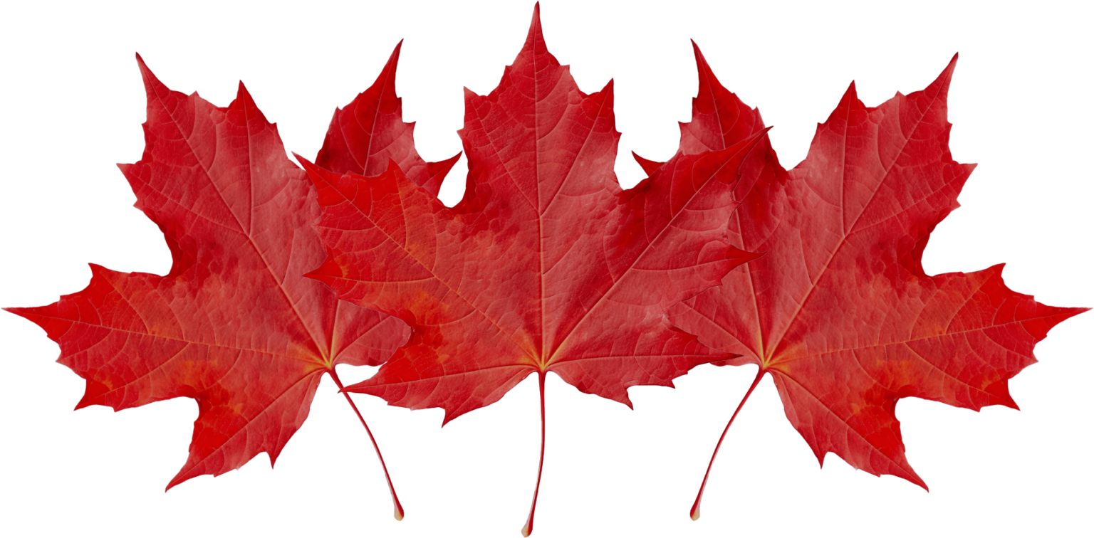 Plan canadien de soins dentaires | Trouvez des dentistes agréés par le ...